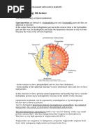 Propofol Synthesis | PDF | Sulfuric Acid | Chemical Reactions