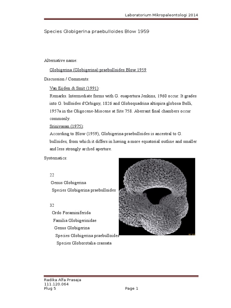 Globigerina praebulloides Overview | PDF | Organisms | Nature