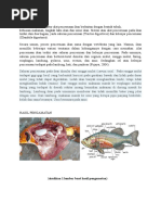 Anatomi dan Morfologi Ikan | PDF | Sains & Matematika