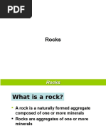 Sedimentary Rocks: Graphic Organizer Notes | PDF