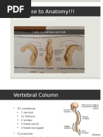 Mark K Quick Notes | PDF | Clozapine | Childbirth