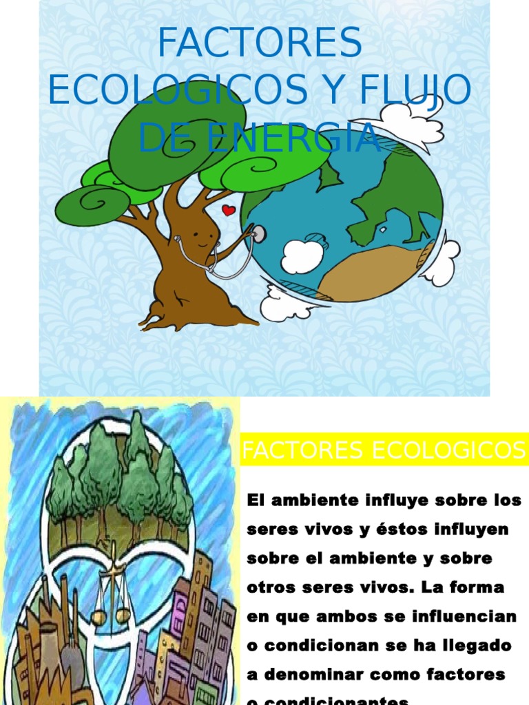 Factores Ecologicos y Flujo de Energia | PDF | Ecología | Organismos