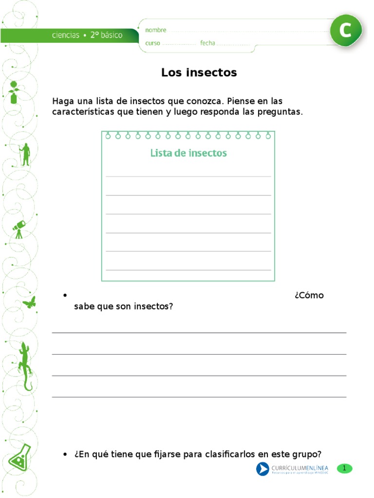 Actividades Los Insectos | PDF | Ciencia y matemáticas