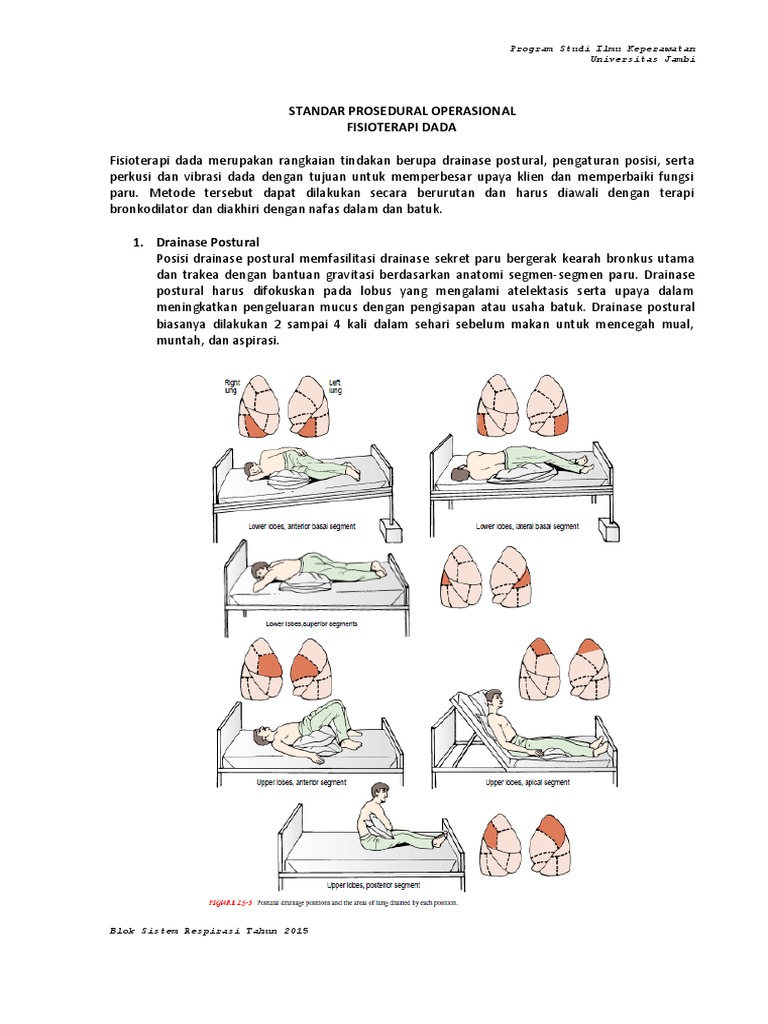 Standar Prosedur Operasional Fisioterapi Dada | PDF