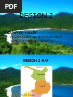 ARMM: History and Provinces Overview | PDF | Mindanao | Philippines
