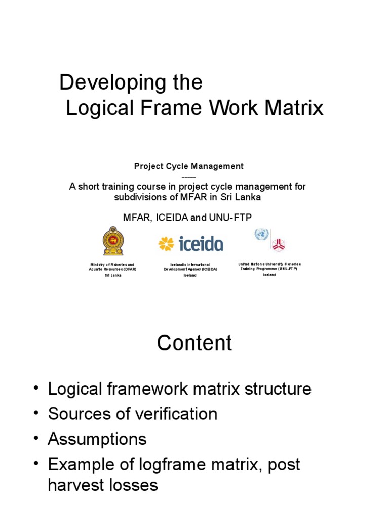 Developing The Logical Frame Work Matrix | PDF | Strategic Management | Business