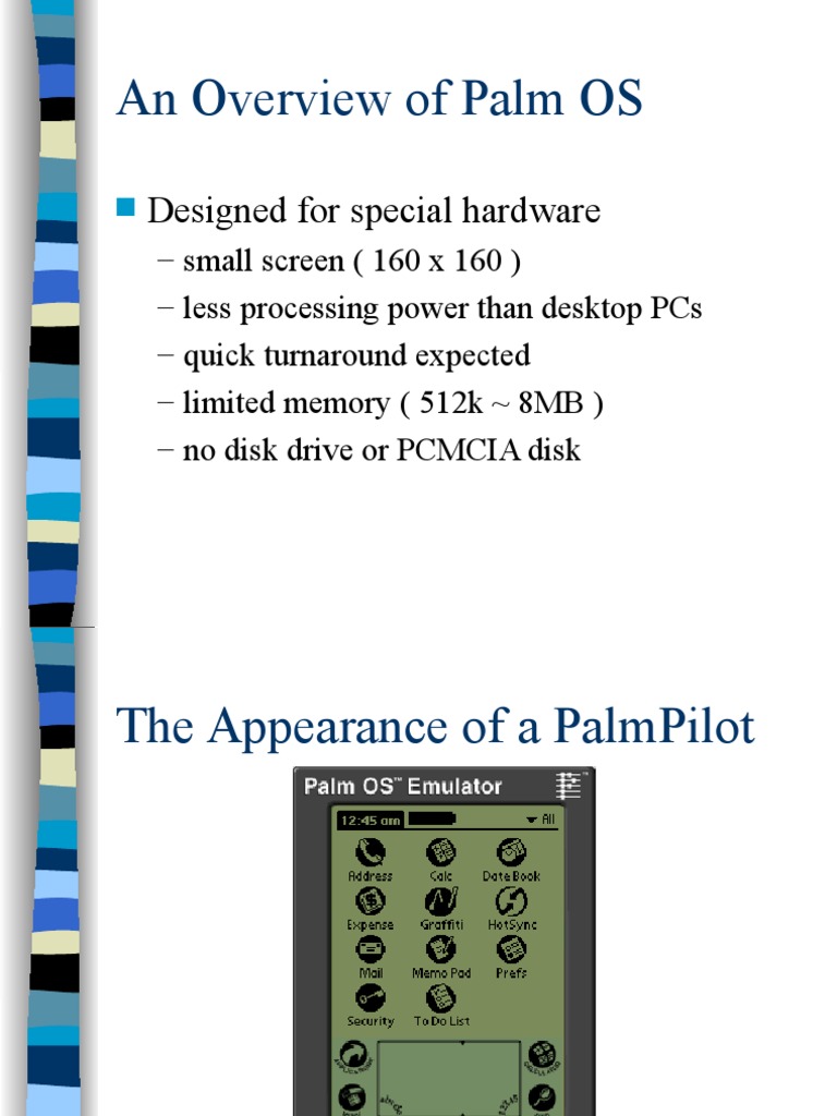 Palm OS Overview | Download Free PDF | Pointer (Computer Programming ...
