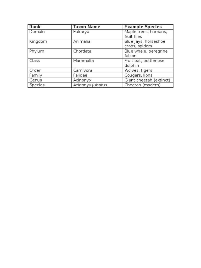 Cheetah Taxonomy Chart | PDF