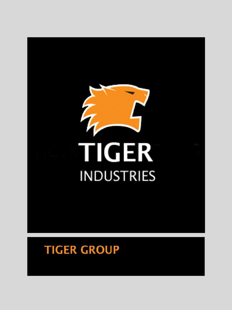 Tiger Company | PDF | United Arab Emirates | Dubai
