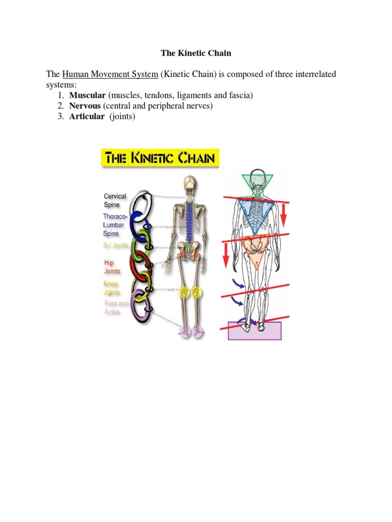 Kinetic Chain Checkpoints and Dysfunction | PDF