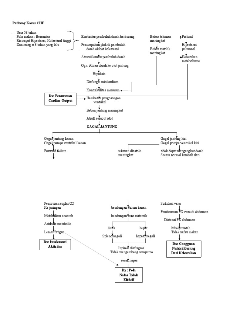 Pathway Kasus CHF | PDF