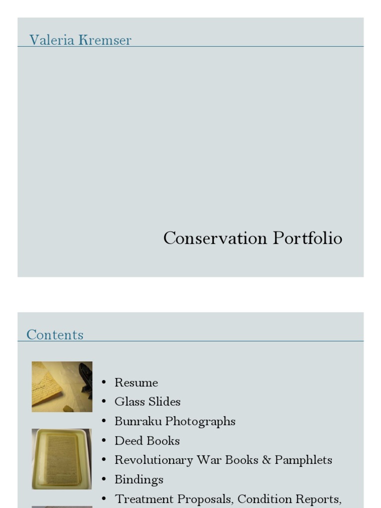 Conservation Portfolio | PDF | Bookbinding | Ink