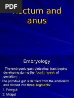 Gibson Incision | PDF