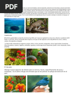 Flora y Fauna de Paises de Centroamerica | PDF | Selva | Conservación