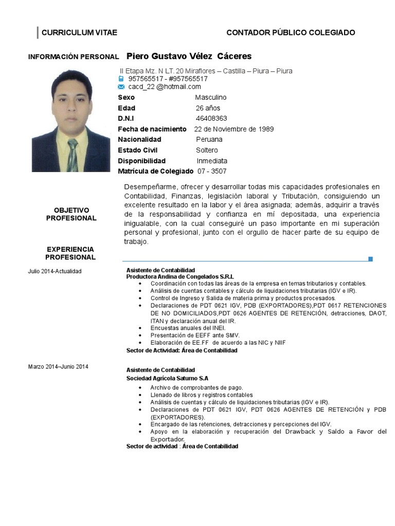 Curriculum Vitae | PDF | Contador | Contabilidad