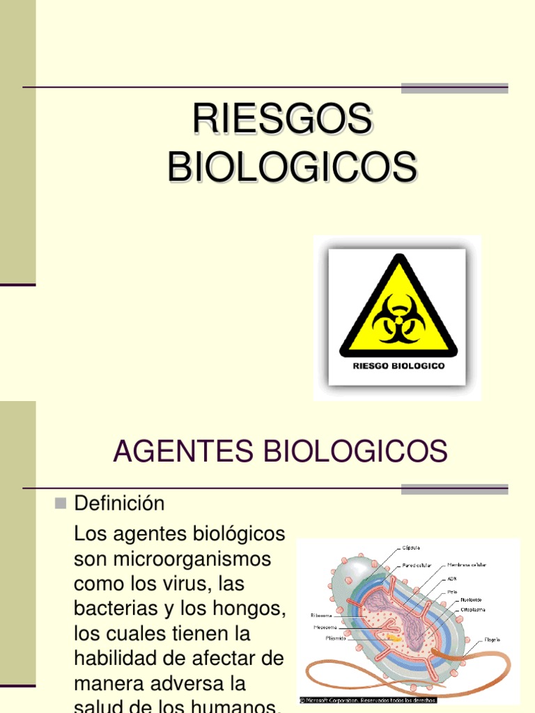 Riesgos Biologicos PDF | PDF | Infección | Microorganismo
