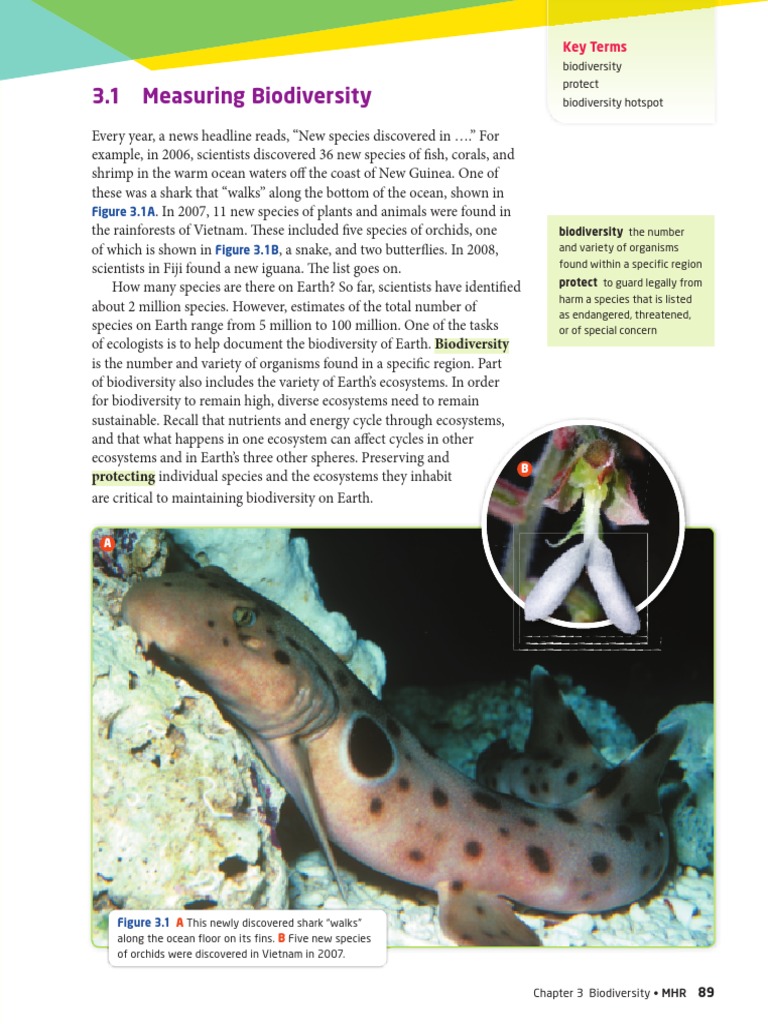 Measuring Biodiversity | PDF | Biodiversity | Ecosystem