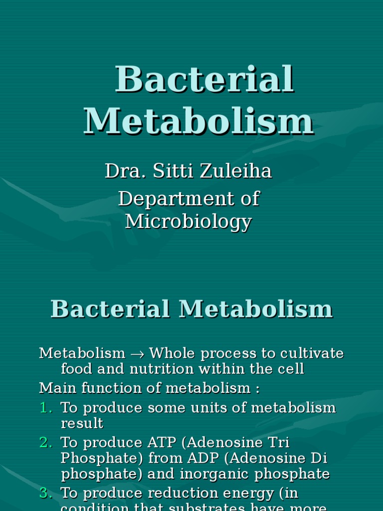 Bacterial Metabolism (Eng.) | PDF | Metabolism | Cellular Respiration