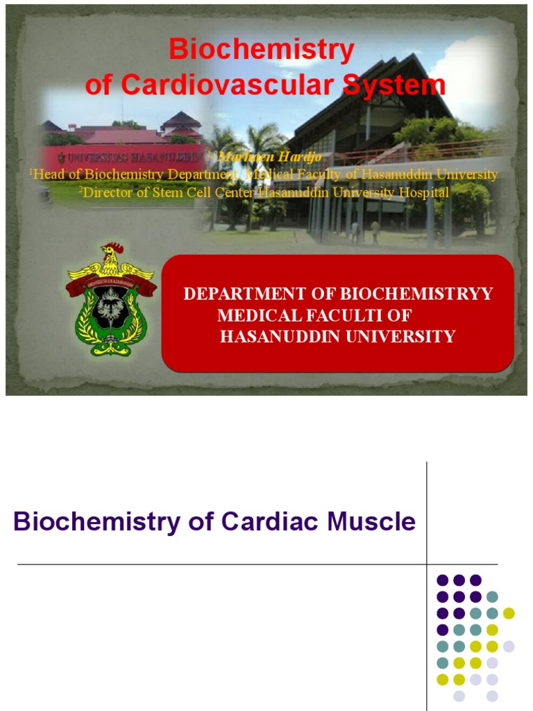 Biochemistry of Cardiovascular System | PDF | Glycolysis | Adenosine ...