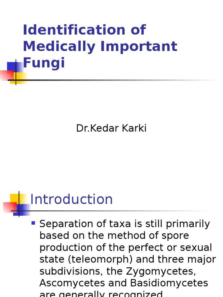 Identification of Medically Important Fungi | PDF | Fungus | Wellness