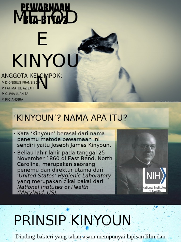 Pewarnaan Bakteri BTA-BTTA | PDF | Memasak, Makanan, & Anggur ...