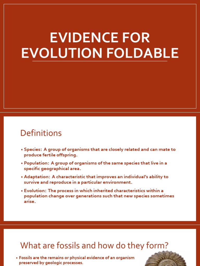Evidence For Evolution Foldable Use This One | PDF | Fossil | Whales