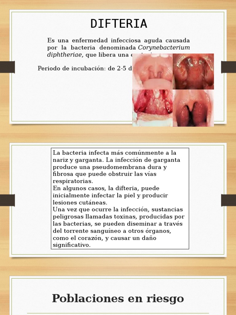 Difteria | PDF | Enfermedades y trastornos | Inmunología