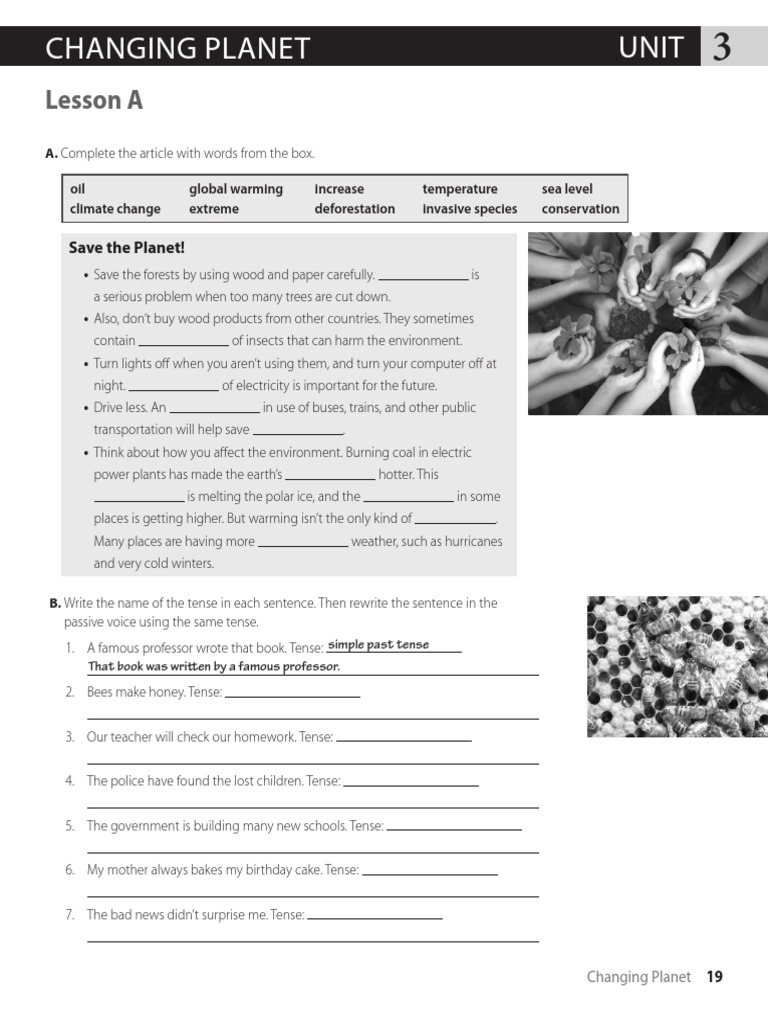 World English 3 - Workbook Unit 3 | PDF | Building Insulation | Natural ...