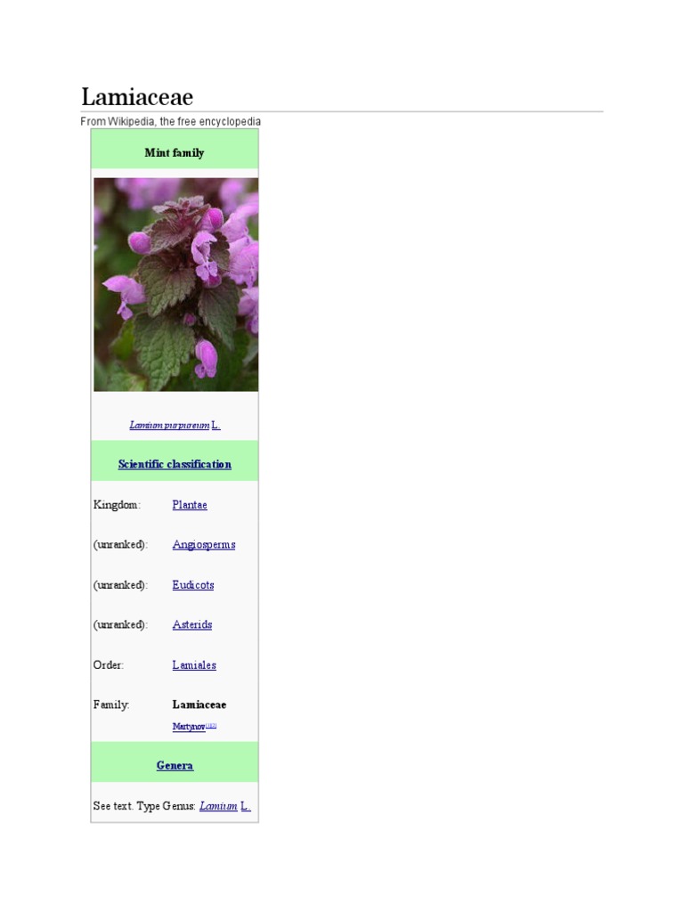 Lamiaceae | PDF | Horticulture And Gardening | Garden Plants