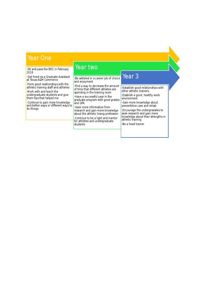 3 Year Goals | PDF