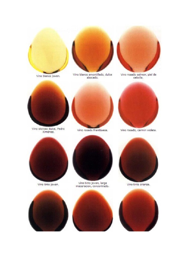 Cepas Tintas y sus Características | PDF | Vino | Cultivos originarios ...