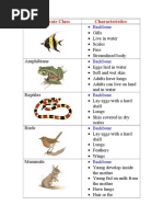 Animal Classification Sort | PDF