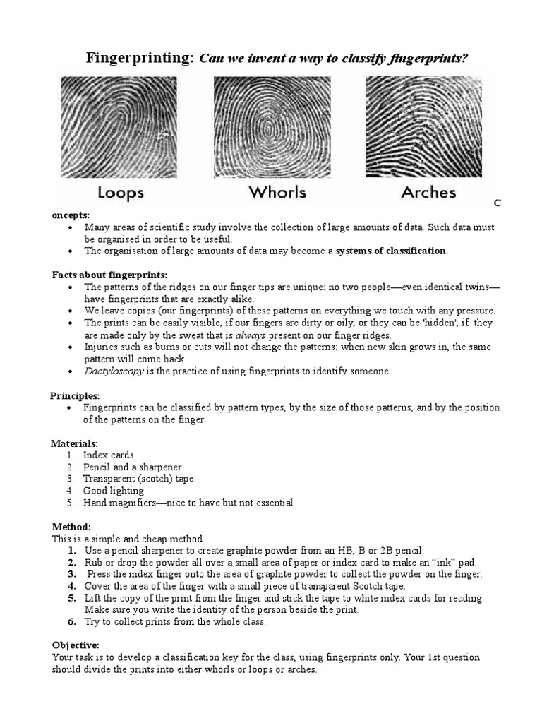 Fingerprinting Worksheet | PDF