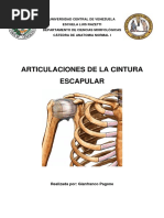 Apófisis Coracoides | PDF | Hombro | Extremidades (anatomía)
