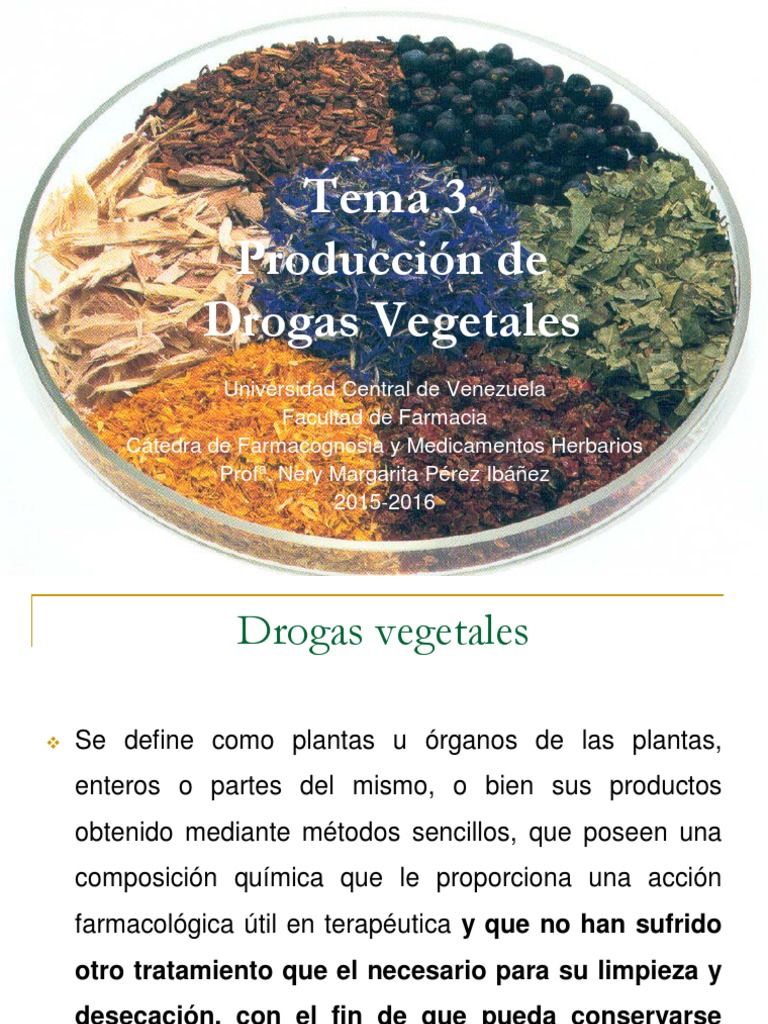 Producción de Drogas Vegetales | PDF | Plantas | Cannabis (Droga)