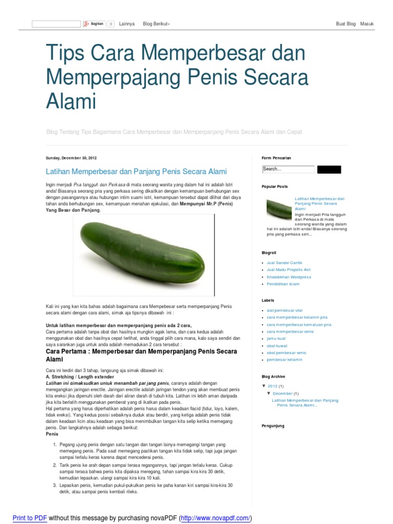 Tips Cara Memperbesar Da... Jang Penis Secara Alami | PDF