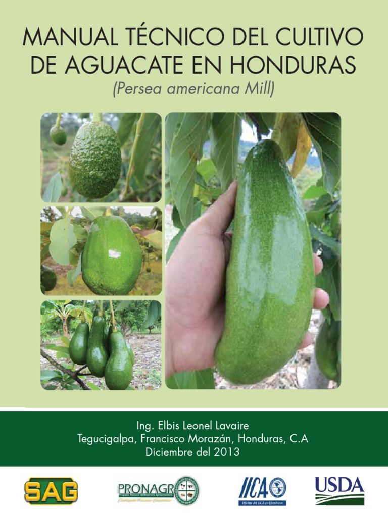 Manual Tecnico Del Cultivo de Aguacate PDF | PDF | Aguacate | Injerto Manual Tecnico Del Cultivo de Aguacate PDF | PDF | Aguacate | Injerto