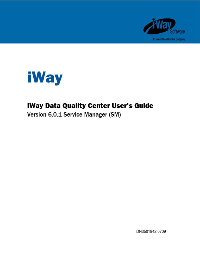 Iway Data Quality Center User's Guide | PDF | Data Quality | Databases