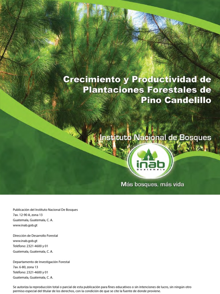 Pino Candelillo | PDF | Los bosques | Guatemala