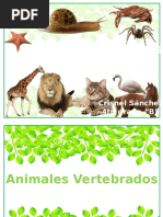 Vocabulario Insectos | PDF