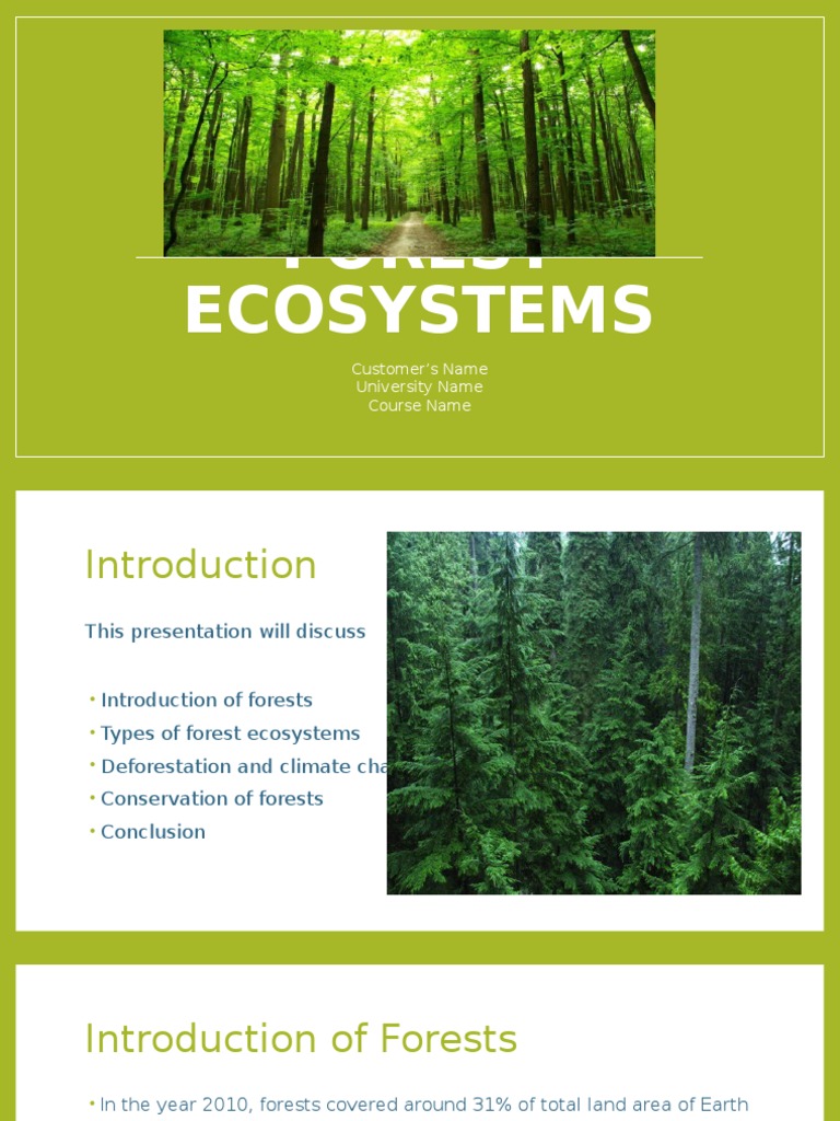 Forest Ecosystems | PDF | Forests | Deforestation