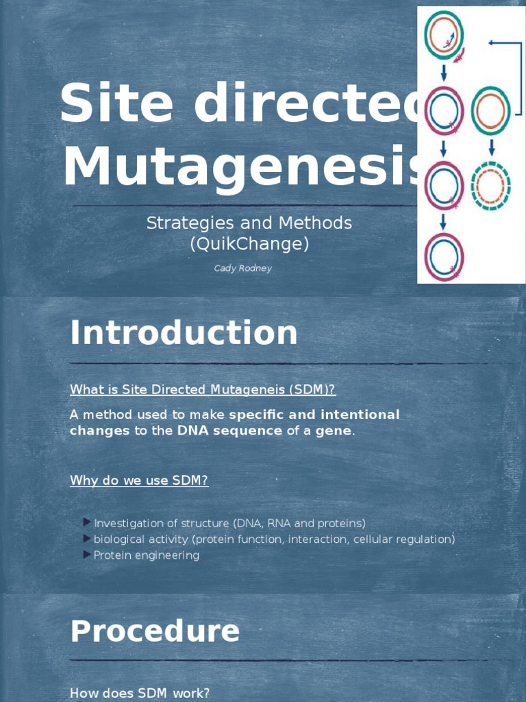 Site Directed Mutagenesis Overview | PDF | Technology & Engineering