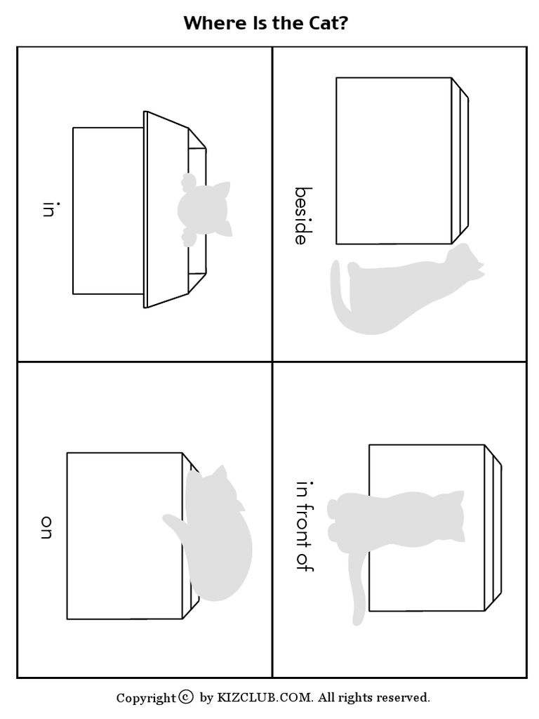 Preposition Cat | PDF