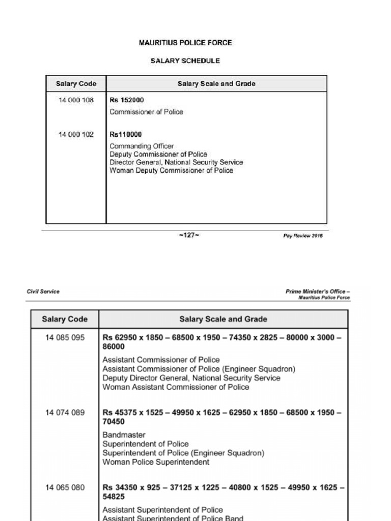 Mauritius Police Force | PDF