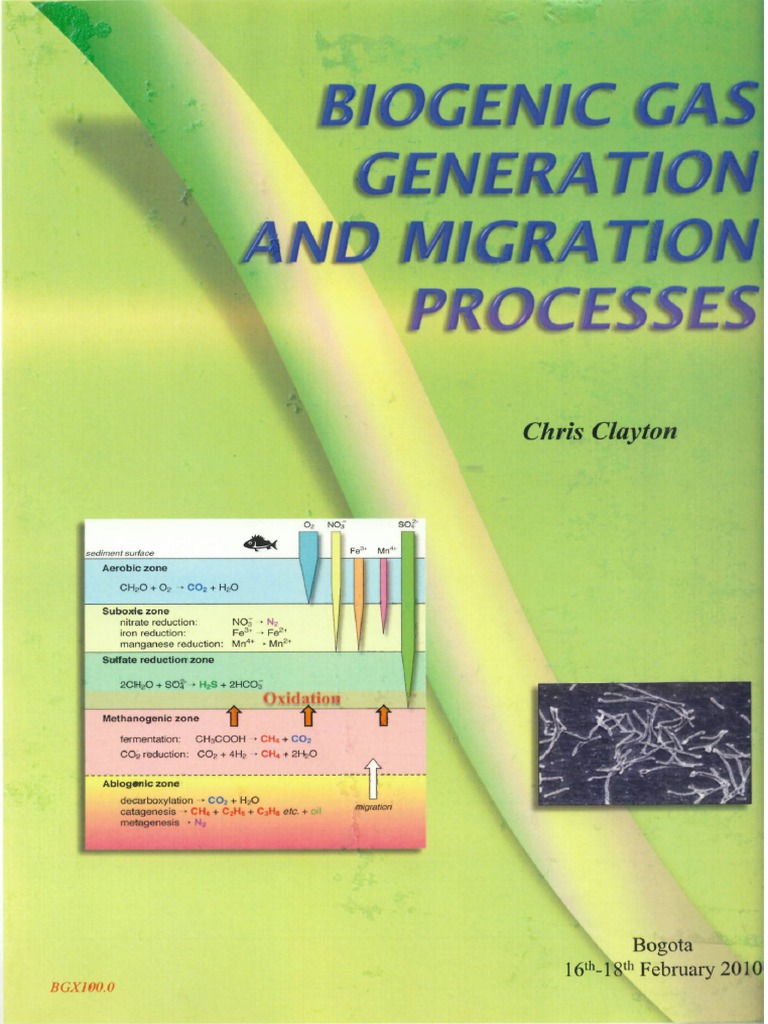 Origen y Migración Del Gas Biogénico | PDF