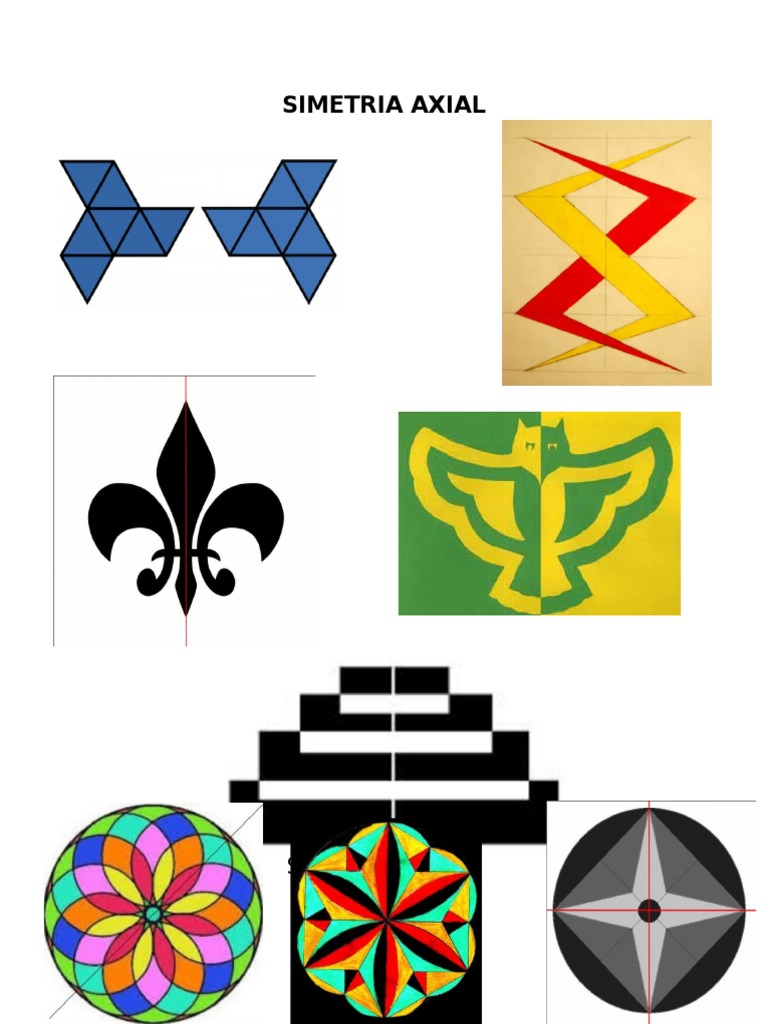 Simetria Axial y Simetria Radial | PDF