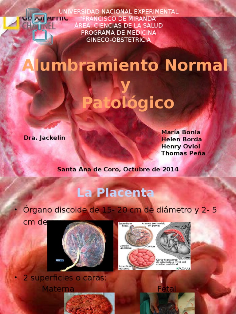 Alumbramiento Normal Y Patologico | PDF | Placenta | Parto
