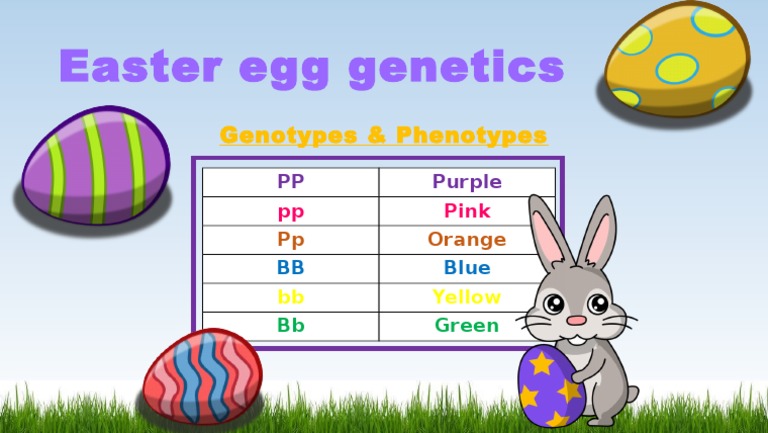 Easter Egg Genetics Slide | PDF