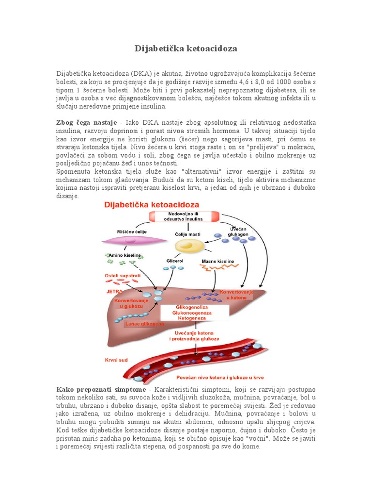 Dijabetička Ketoacidoza | PDF