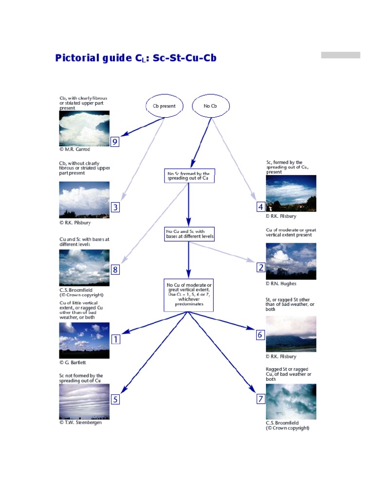 Guide To Cloud Identification | PDF | Teaching Methods & Materials ...
